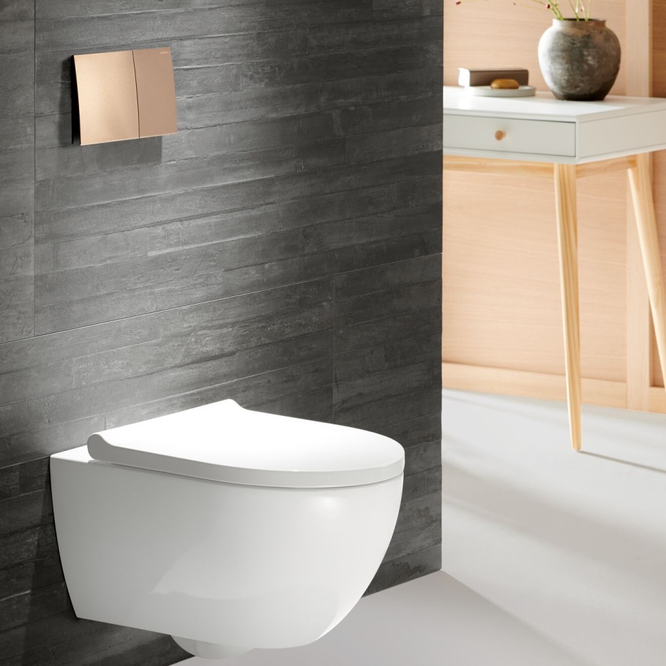 WCs and urinals | Geberit UK